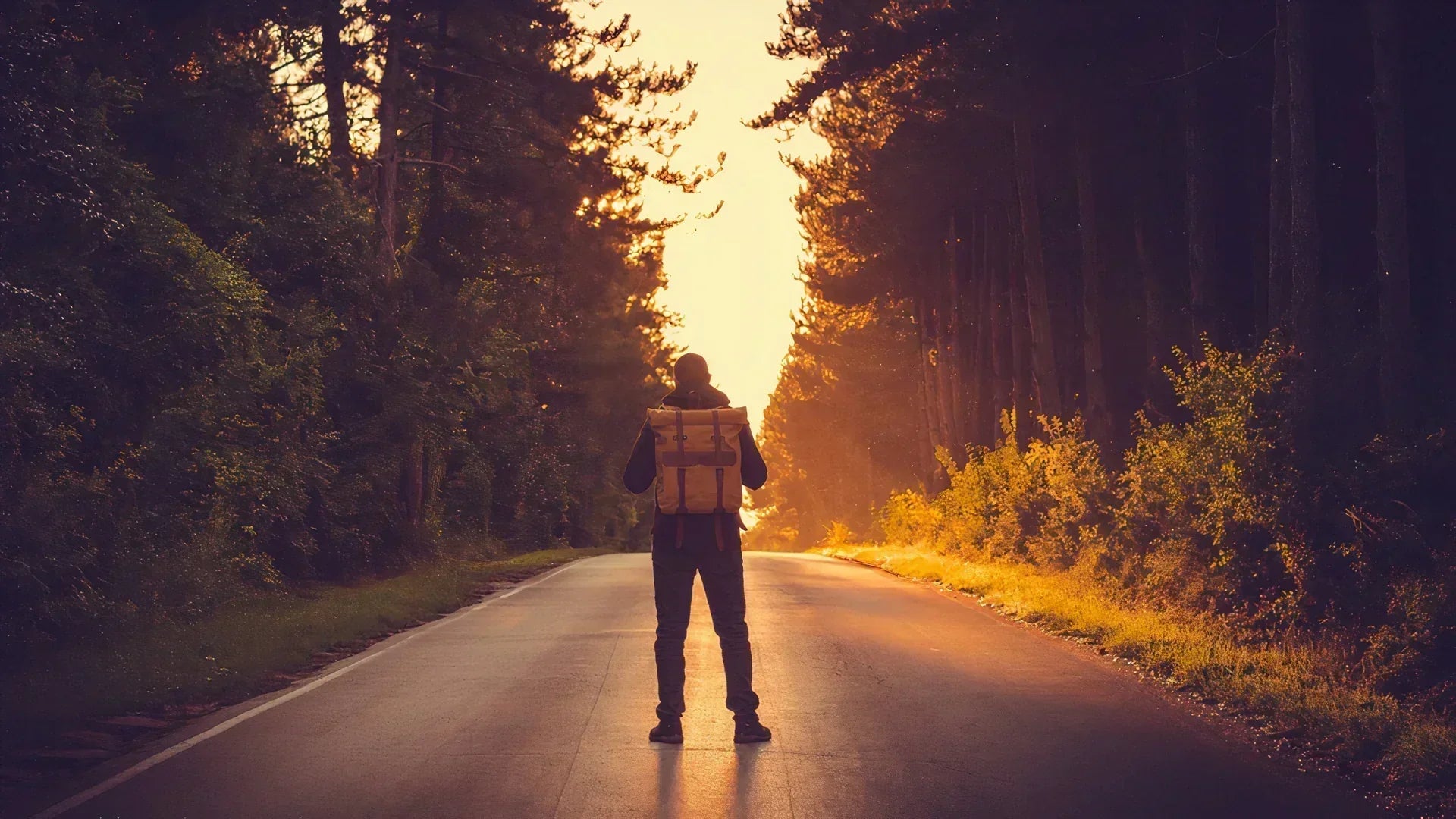 Which roll-top backpack should you choose? A complete guide for a ...